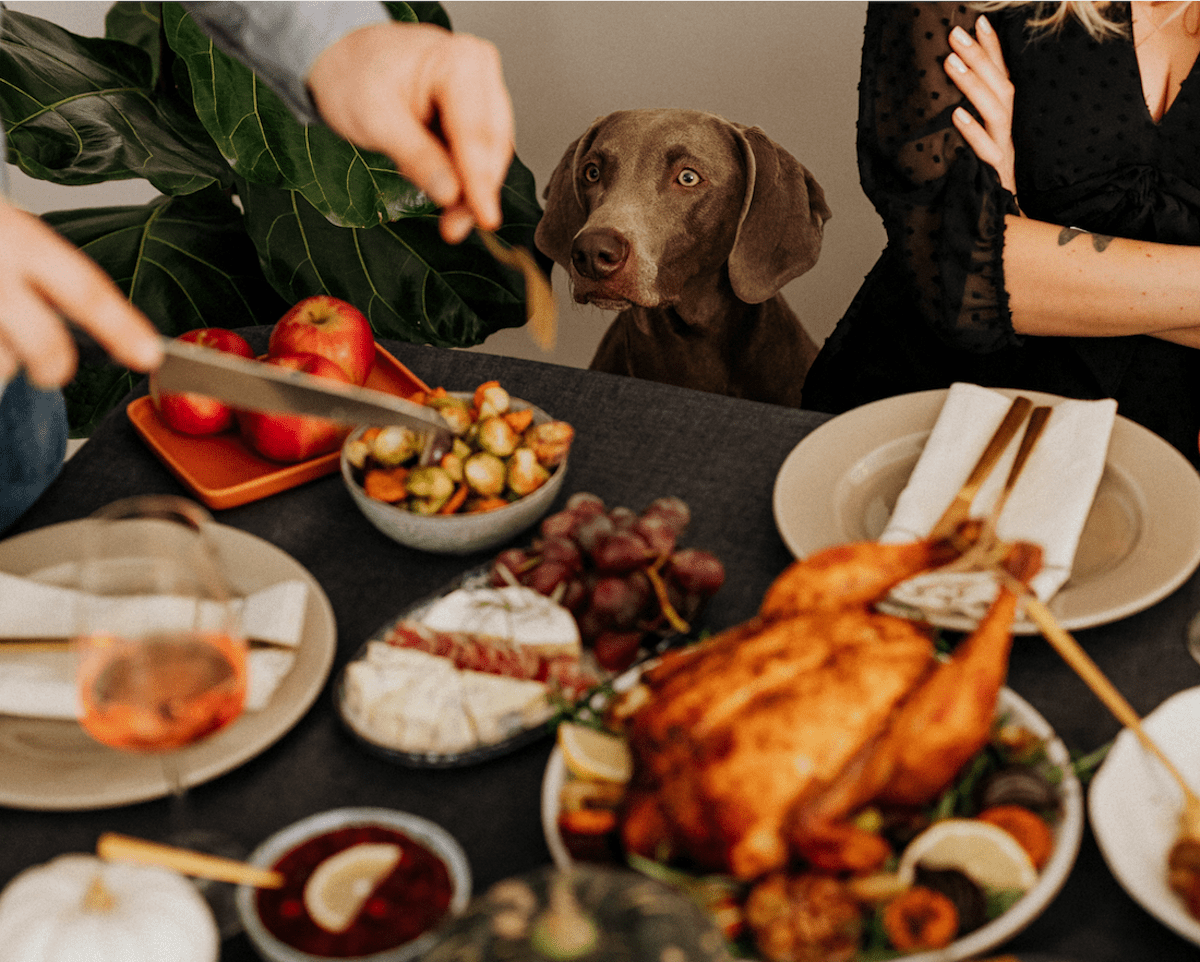 Thanksgiving Fire Safety: How to Prevent Kitchen Fires and Accidents